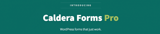 5 bonnes raisons de choisir Caldera Forms - Divi Community